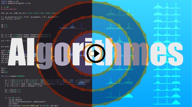 Algorithmes